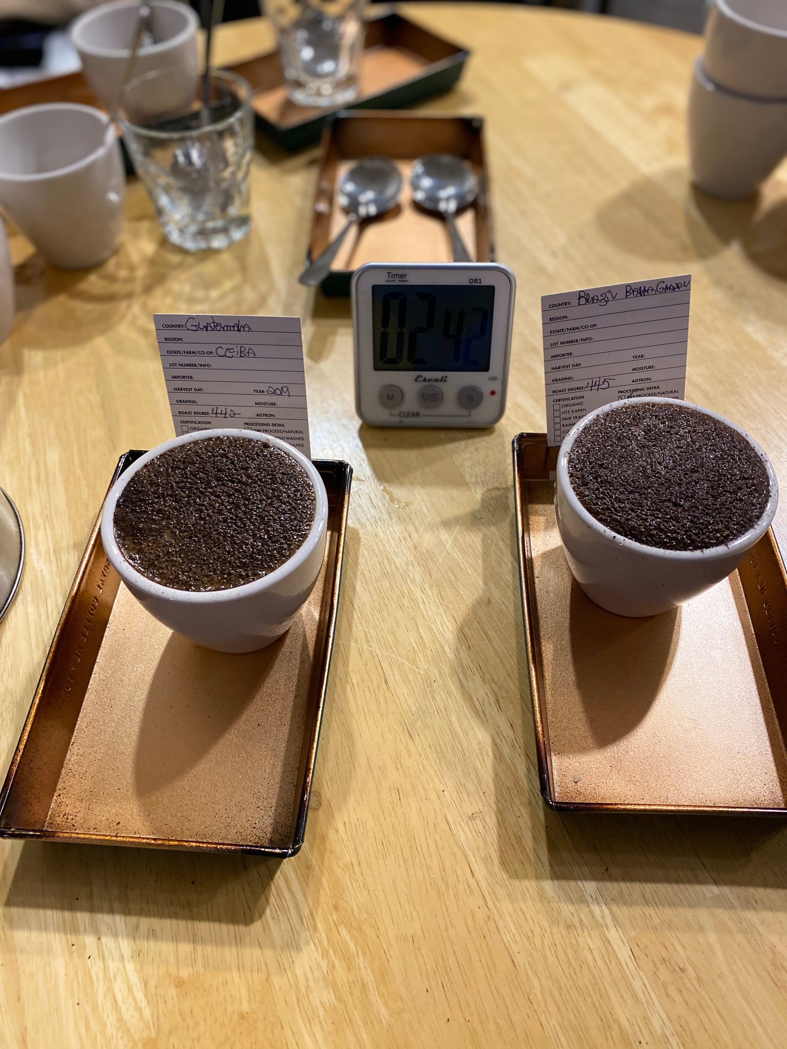 February Coffee Cupping Class 2024 | My Site